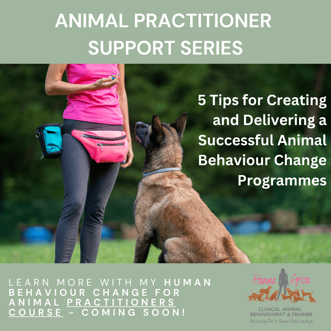 Animal Practitioner Series: 5 Tips for Successful Behaviour Programmes ...