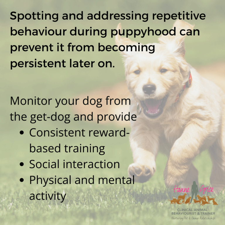 Understanding repetitive behaviours in dogs - Hanne Grice Pet Training ...