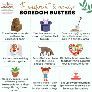 Exercise & enrichment - boredom busters - Hanne Grice Pet Training ...