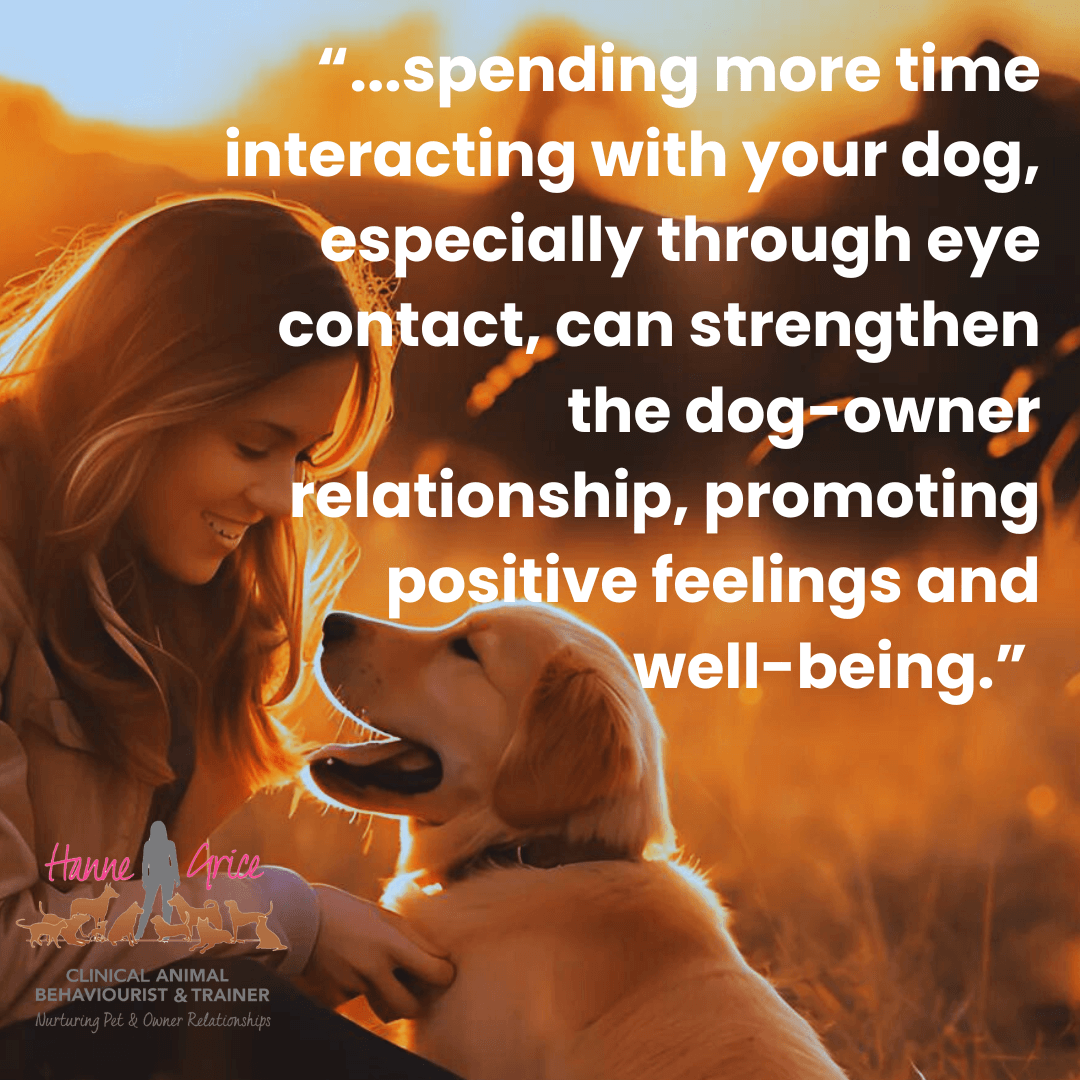 How Your Dog’s Brain Syncs with Yours: The Science of Connection ...