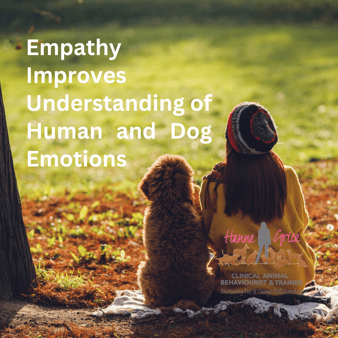 Empathy Improves Understanding of Human and Dog Emotions - Hanne Grice ...