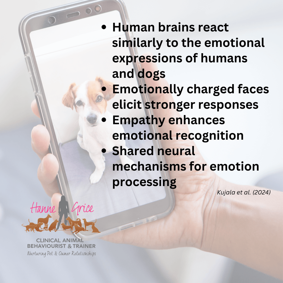 Empathy Improves Understanding of Human and Dog Emotions - Hanne Grice ...