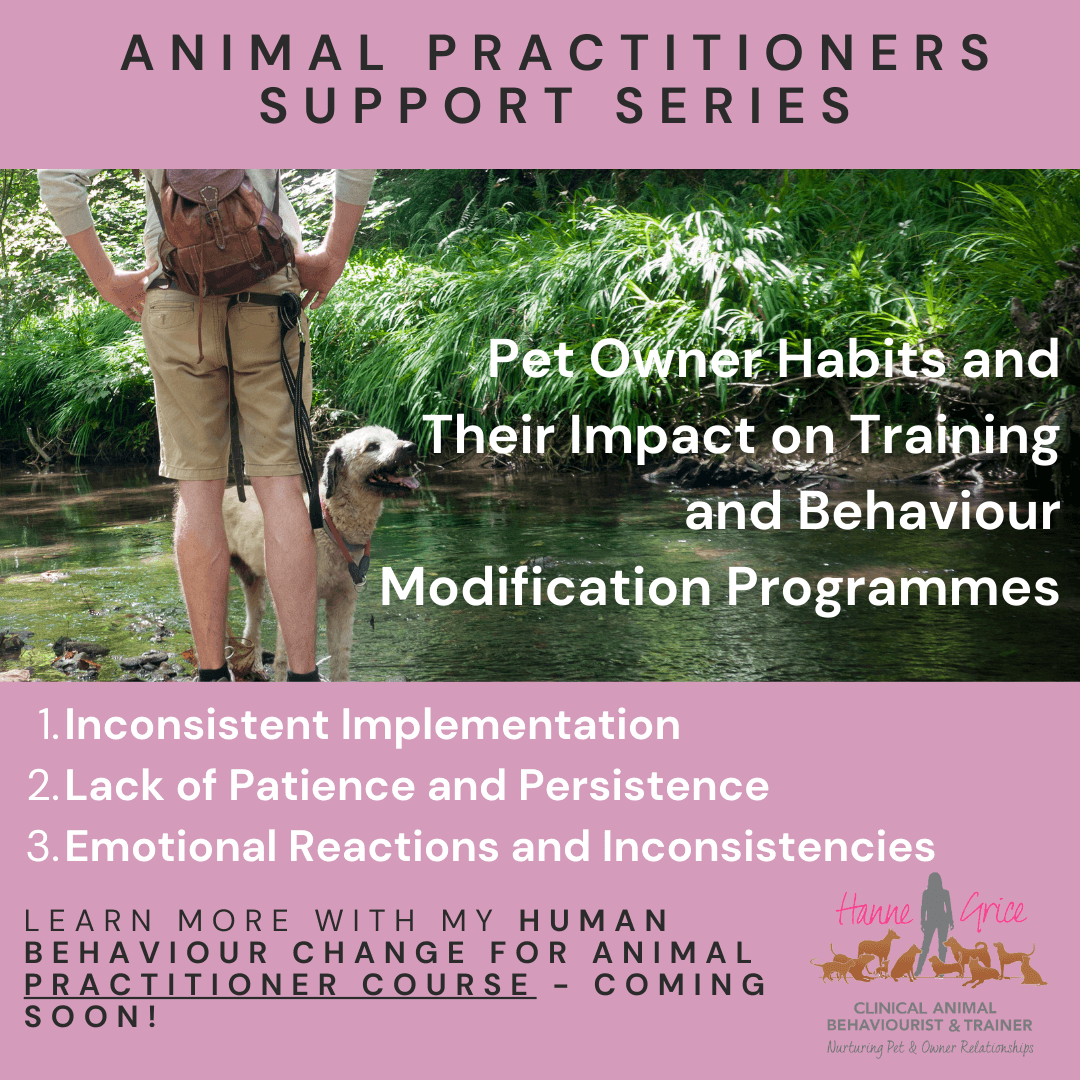 Animal Practitioner Series: Pet Owner Habits and Their Impact on ...