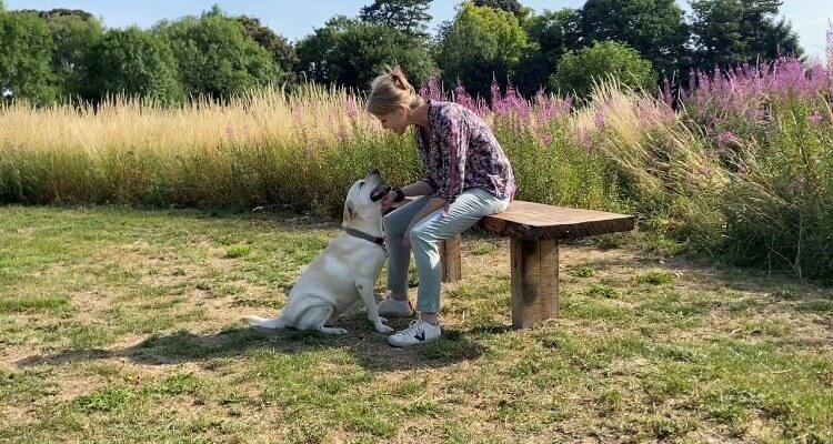 Why Behaviour in Dogs and Cats Is Never Just About the Animal - Hanne ...