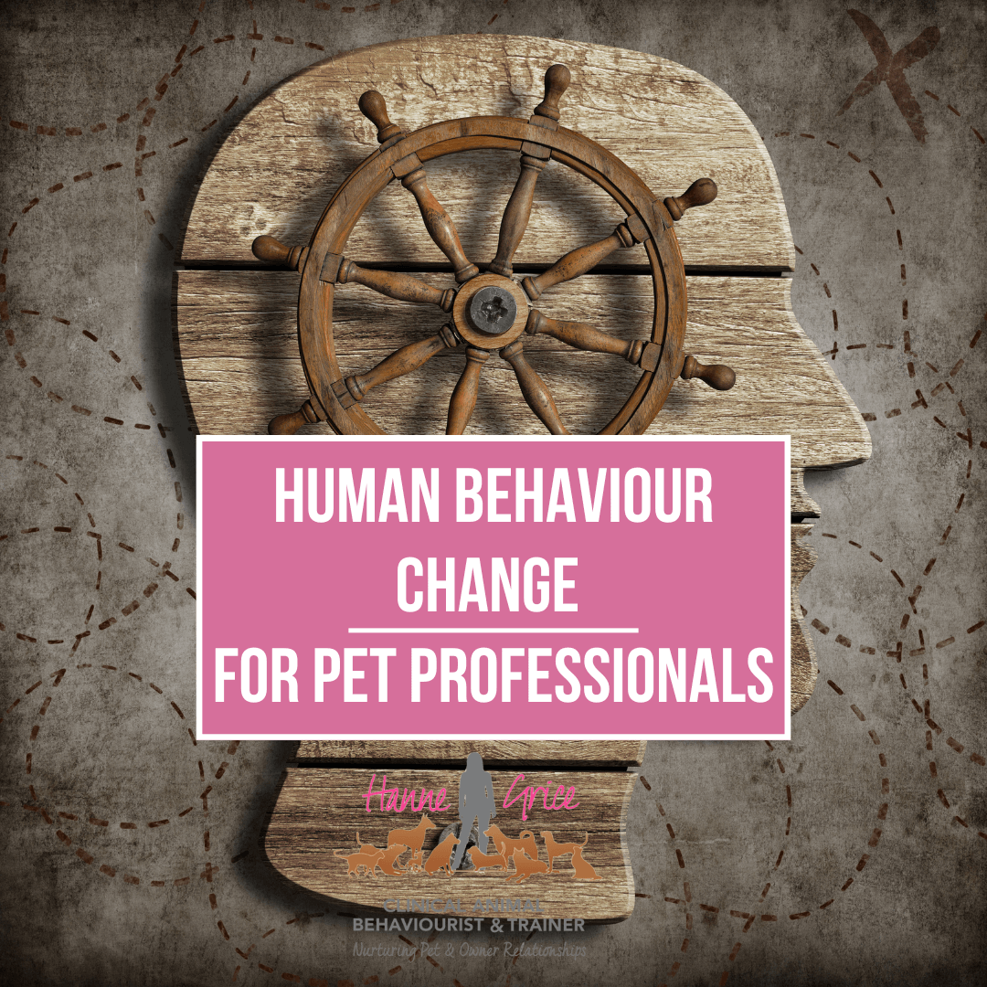 Exciting News for Animal Professionals! - Hanne Grice Pet Training ...