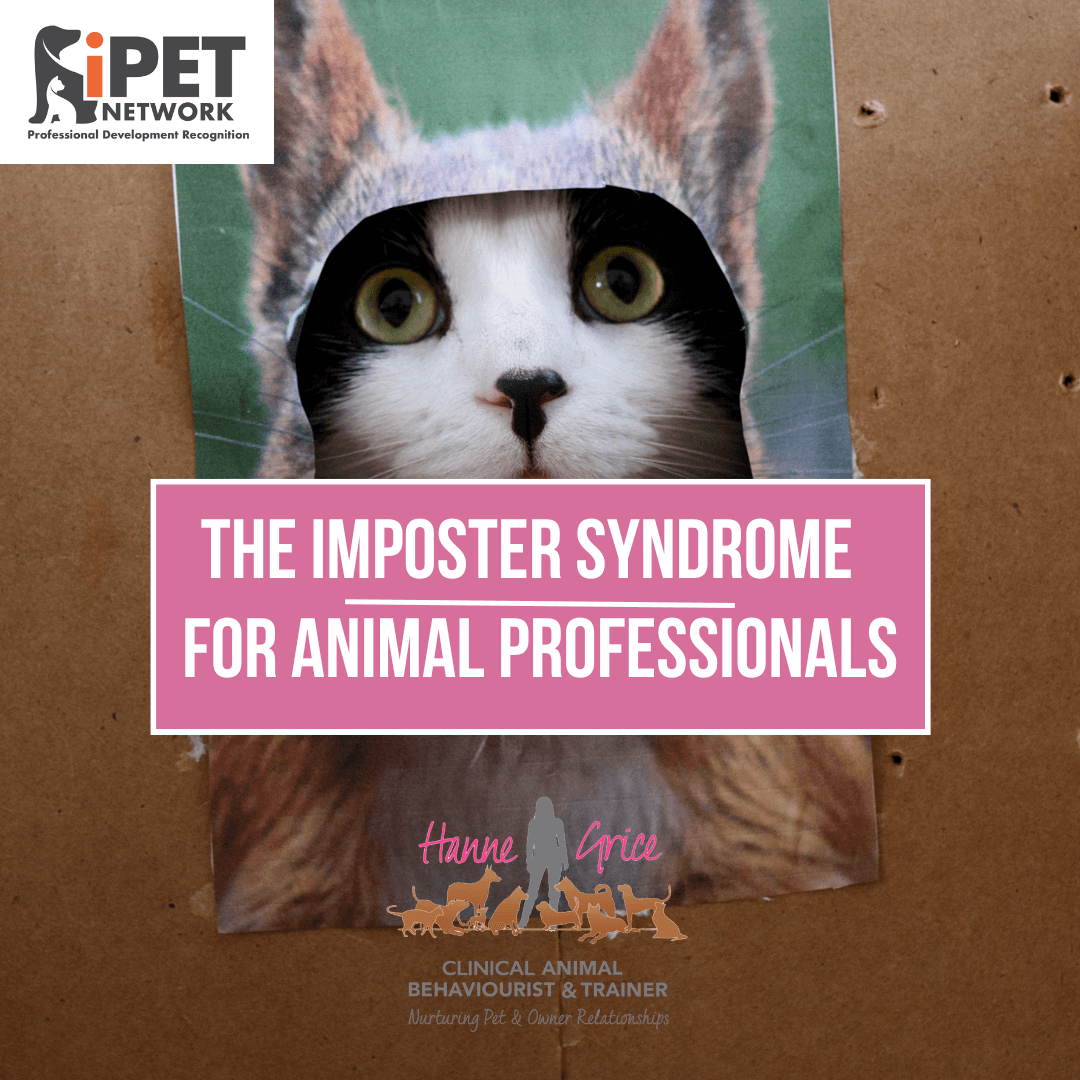 New CPD course for Animal Professionals - Imposter Syndrome - Hanne ...