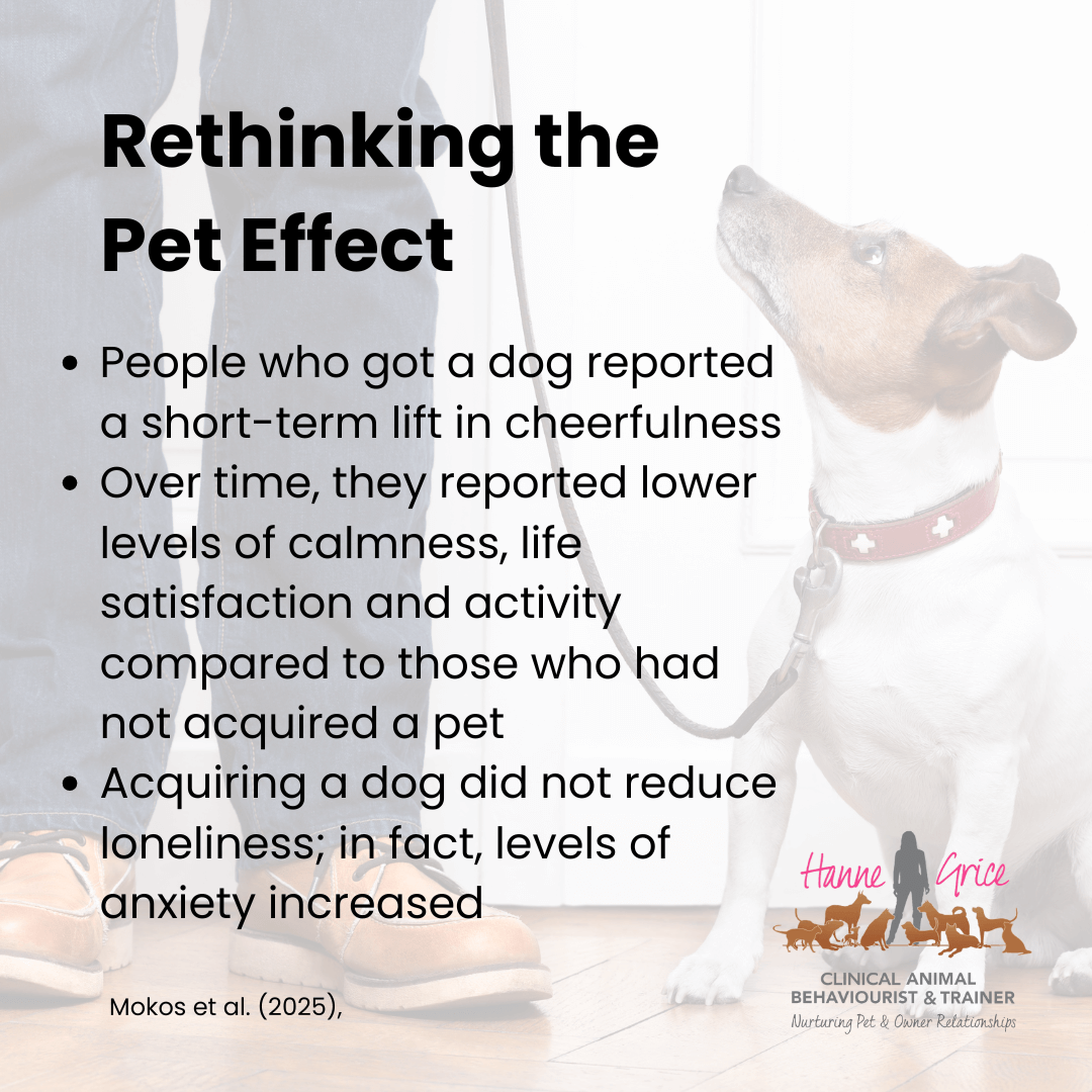 Rethinking the Pet Effect - Hanne Grice Pet Training & Behaviour