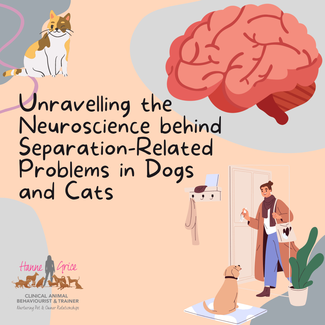 Unravelling the Neuroscience behind Separation-Related Problems in Dogs ...