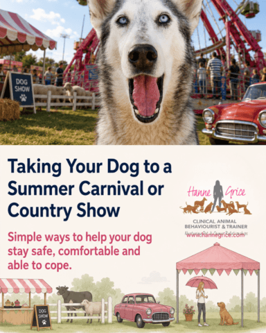 Taking Your Dog to a Summer Carnival or Country Show - Hanne Grice Pet ...