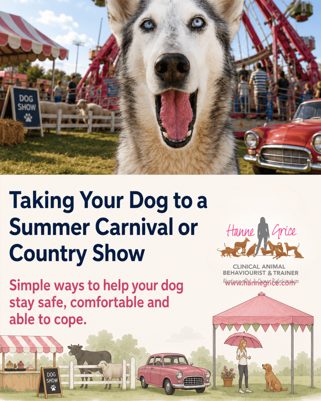 Taking Your Dog to a Summer Carnival or Country Show - Hanne Grice Pet ...