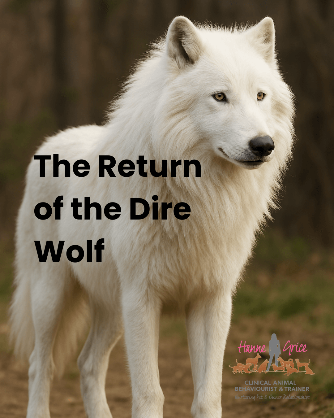 The Return of the Dire Wolf - Hanne Grice Pet Training & Behaviour