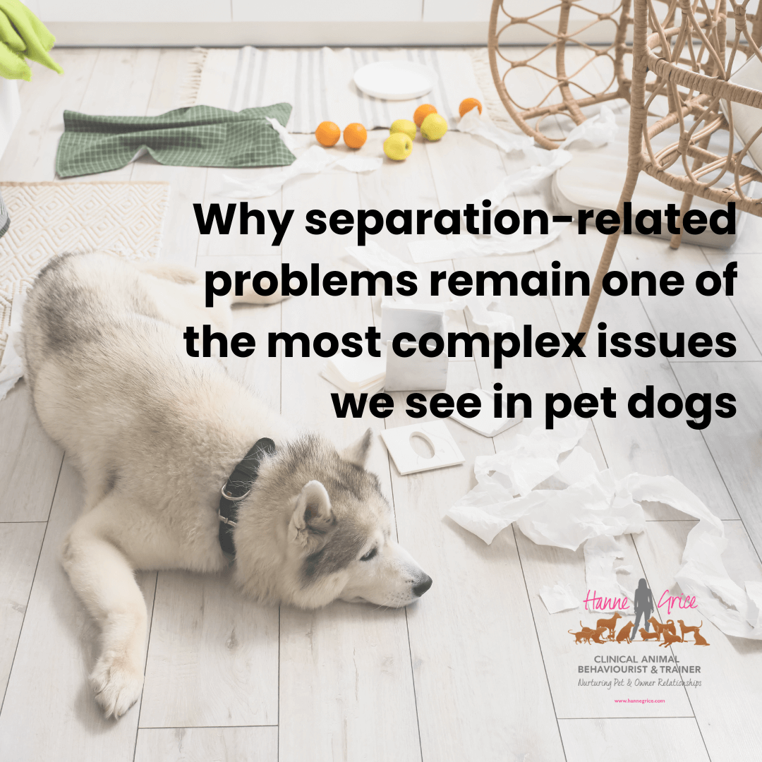Why separation-related problems remain one of the most complex issues ...