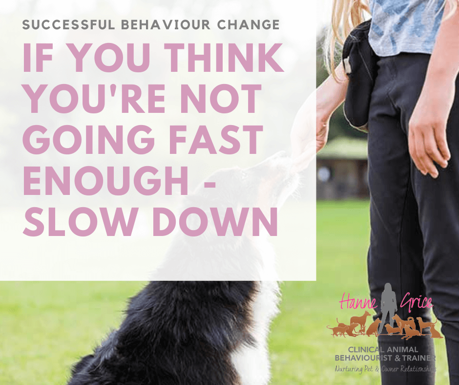 Successful Dog Behaviour Change: The art of slowing down - Hanne Grice ...