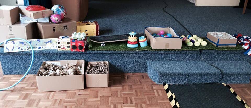 A Guide to Safe Play Activities for Puppies - Hanne Grice Pet Training ...